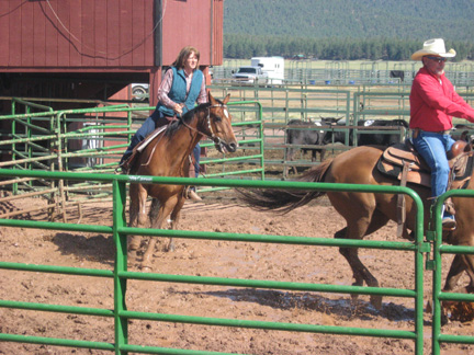 Practice Cattle Sorting Events at B Bar J Las Vegas